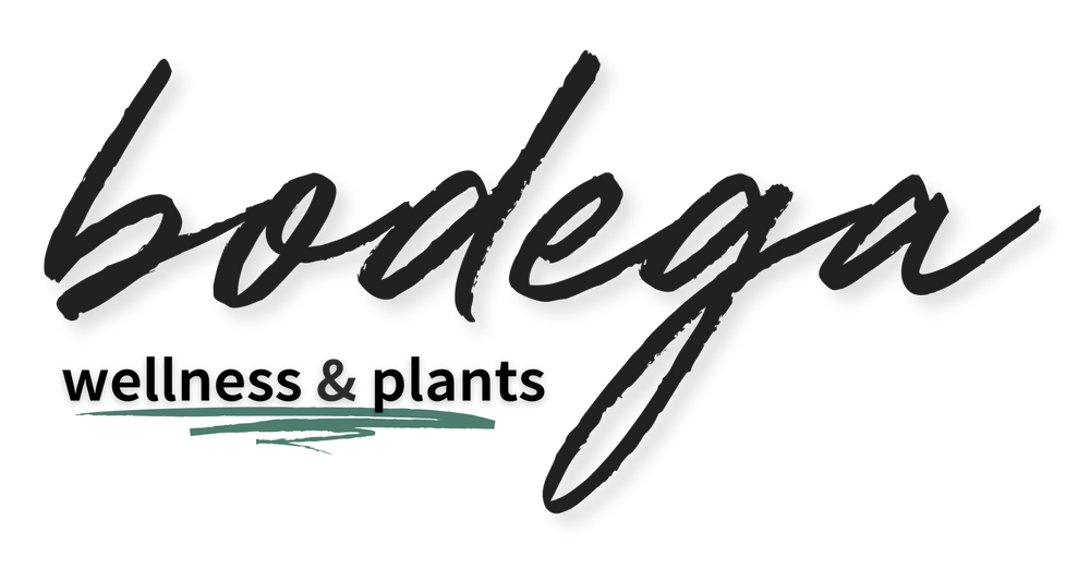 Bodega Wellness & Plants | 144 Locke St. South, Hamilton